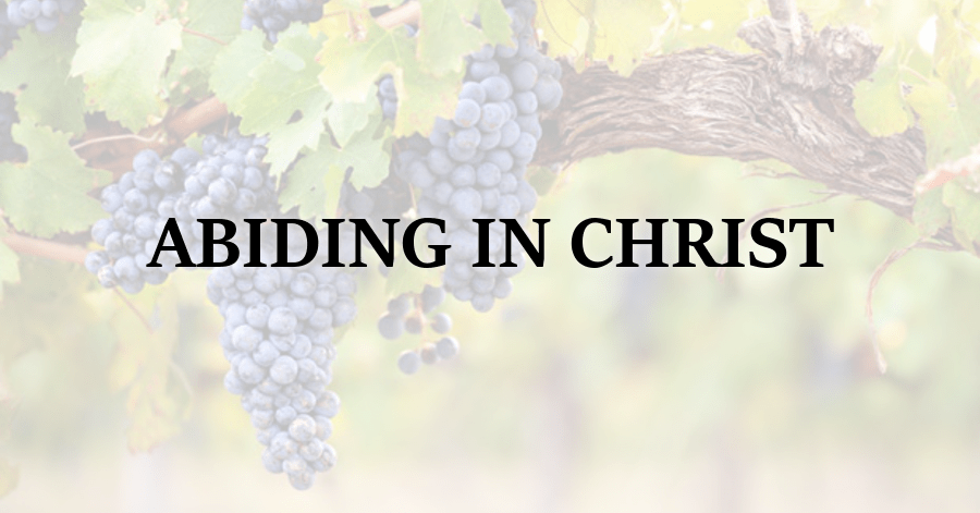 Abiding in Christ – Grace Lutheran Church